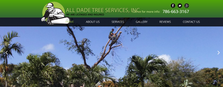 5 Best Tree Services in Miami🥇 - Slice Miami