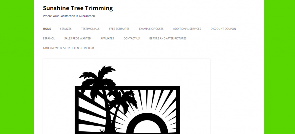 5 Best Tree Services in Miami🥇 - Slice Miami