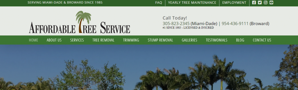 5 Best Arborists in Miami🥇 - Slice Miami