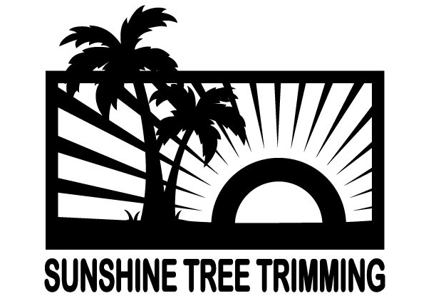 5 Best Arborists in Miami🥇 - Slice Miami